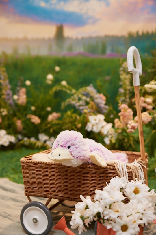Why Women Love Warmies Period Platypus Stuffed Animals for Cramps ...