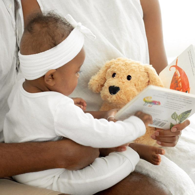 Golden Dog Warmies | Microwavable Golden Dog Warmies Stuffed Animal ...